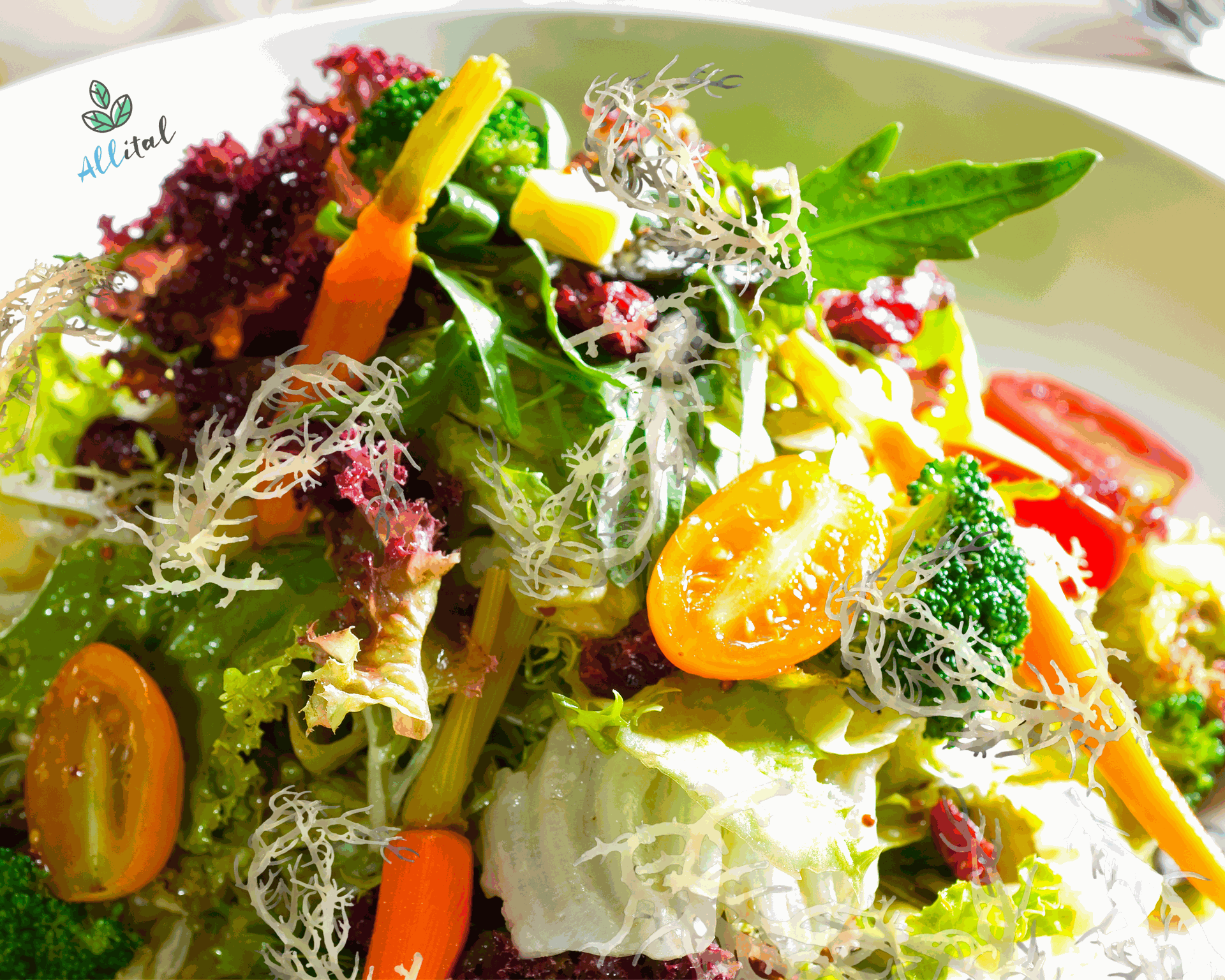 Sea Moss Salad: A Flavorful and Nutritious Dish