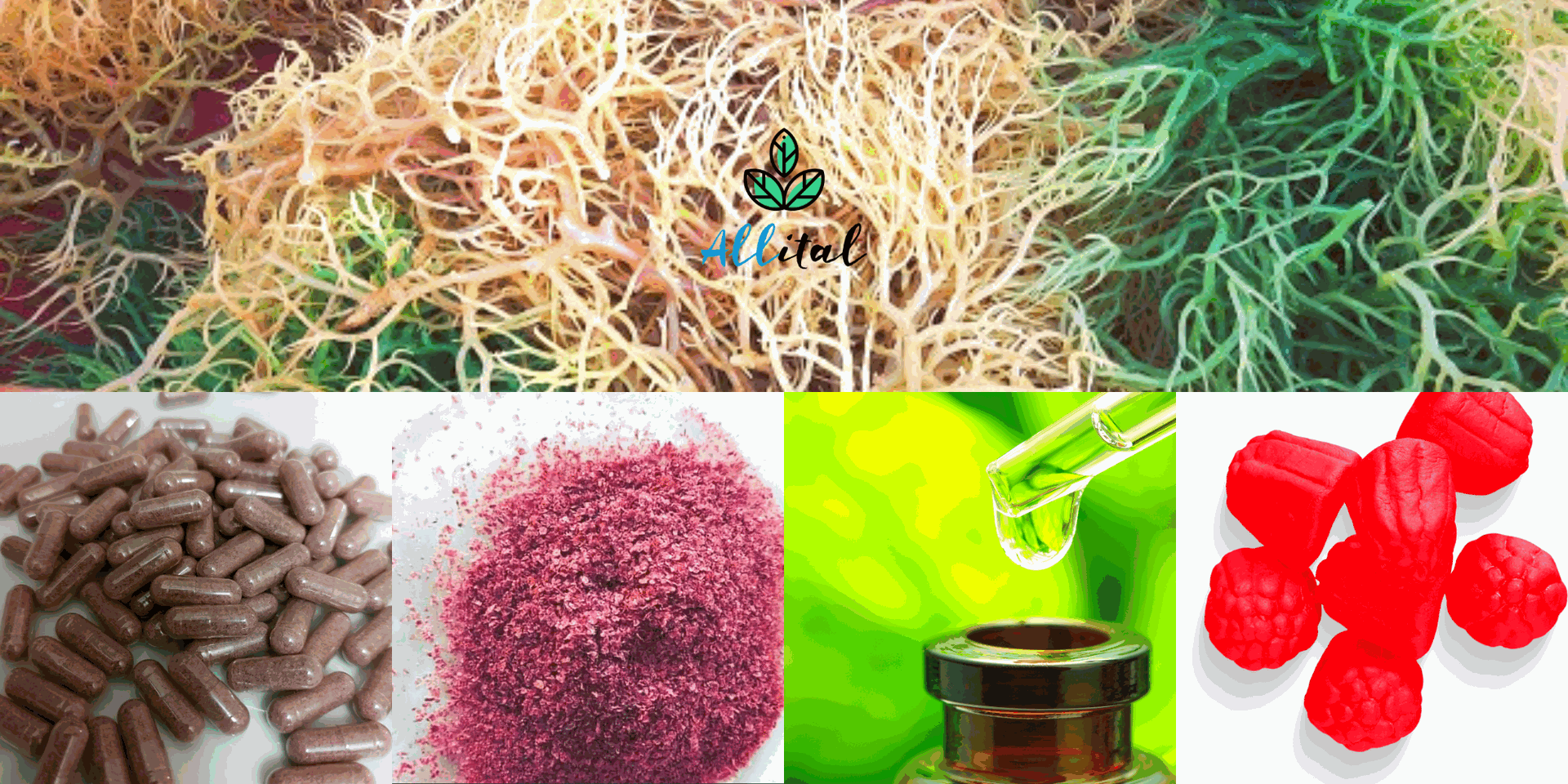 Different Forms Of Sea Moss